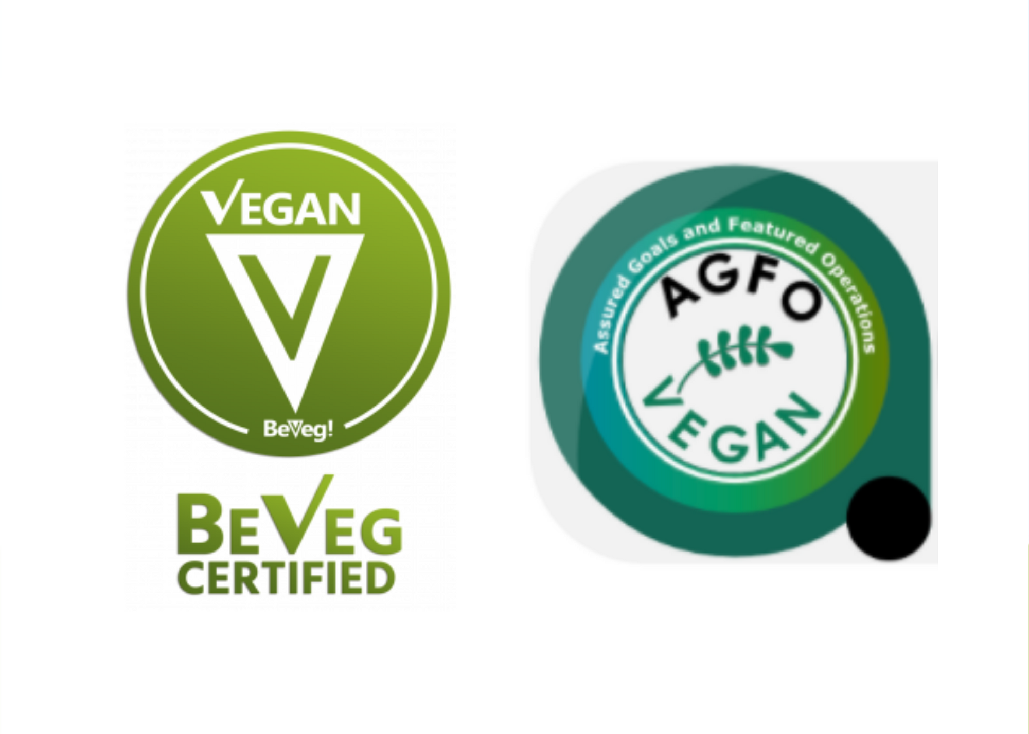 VEGWORLD: TURKEY AND THE ASIA-PACIFIC IS A GLOBAL LEADER FOR BEVEG ...