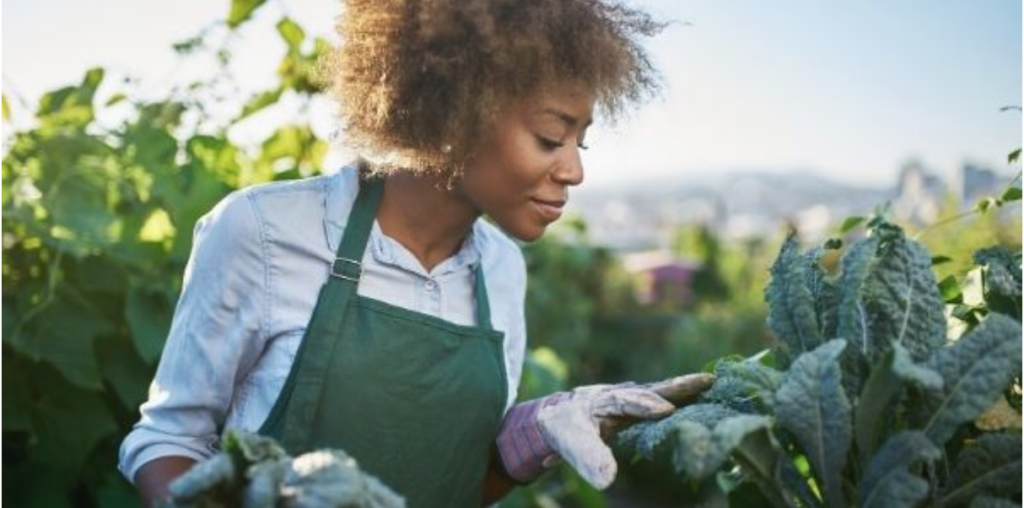 The Different Ways Plants Help Our Environment - VEGWORLD Magazine