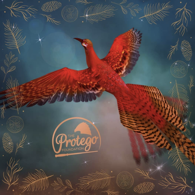 FANTASTIC BEASTS OF THE MUGGLE WORLD AND HOW TO HELP THEM - VEGWORLD ...