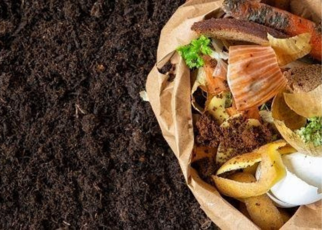 What Are Inoculants Used for in Composting? - VEGWORLD Magazine