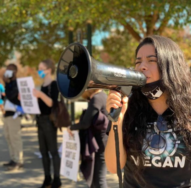 Animal Activism Mentorship- Inspiring a New Generation of Activists ...