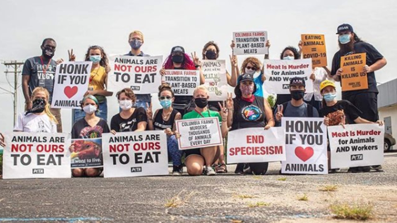 Animal Activism Mentorship- Inspiring a New Generation of Activists ...