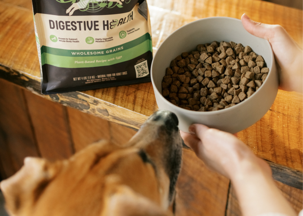 Wellness Pet Company Introduces First Plant Based Recipes For Dogs That