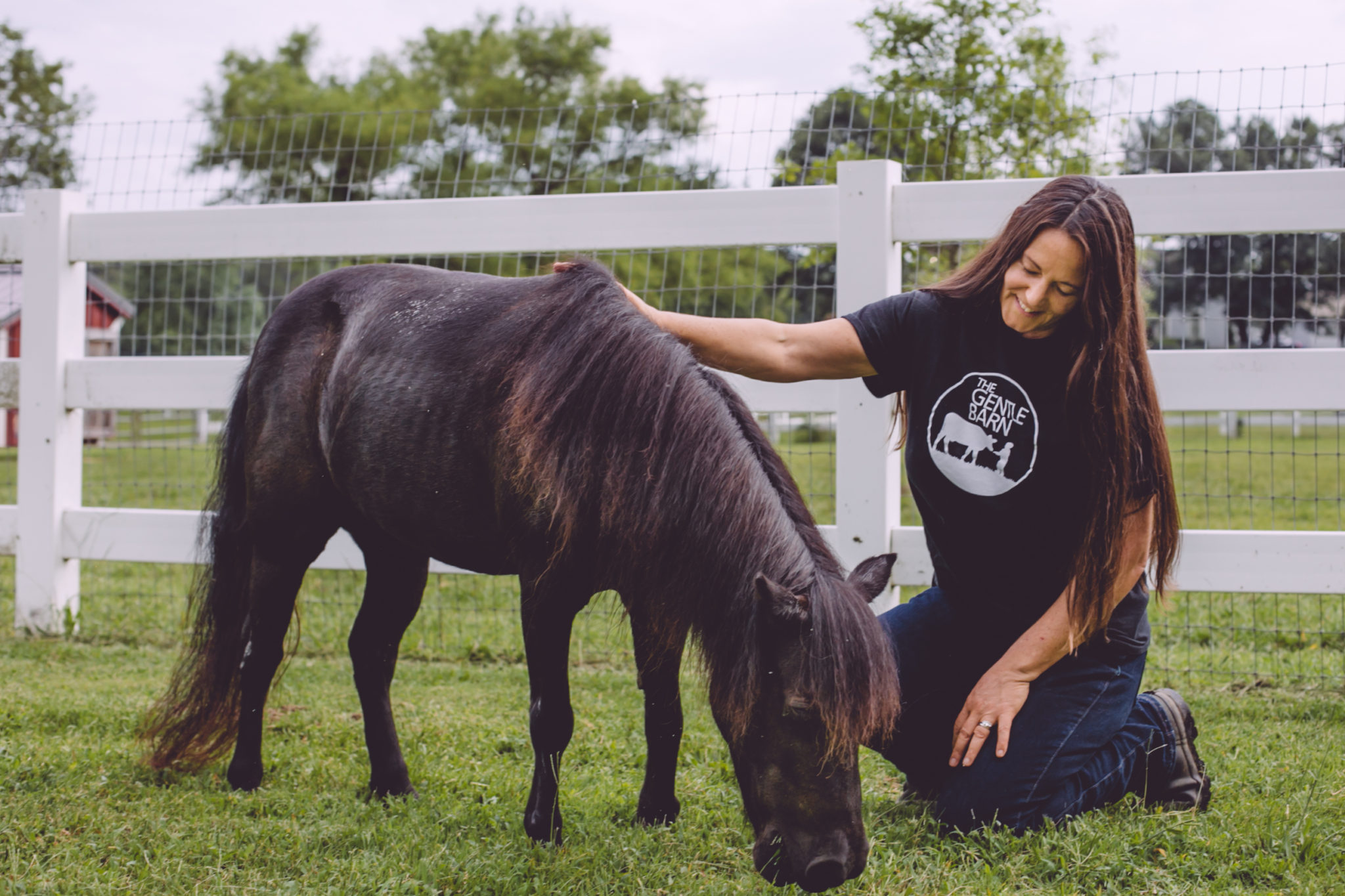 The Gentle Barn: A Haven for Compassion, Resilience, Kindness, and ...