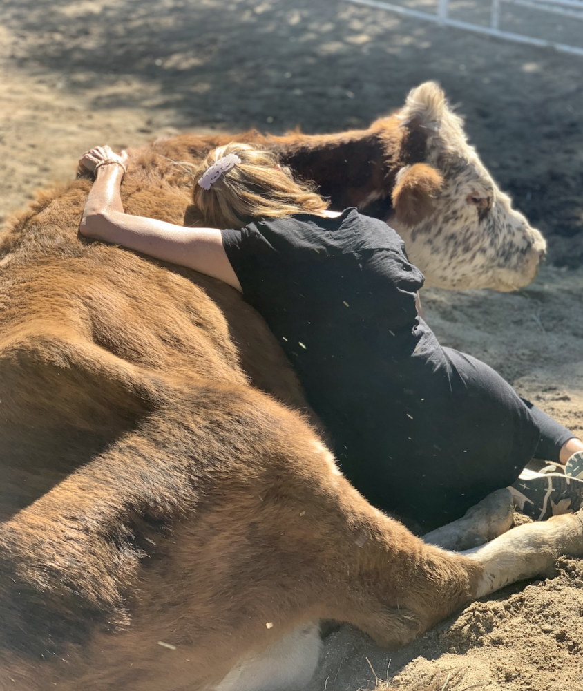 The Gentle Barn: A Haven for Compassion, Resilience, Kindness, and ...