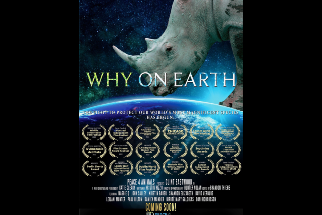 VEGWORLD Magazine - #1 Digital Vegan Lifestyle Magazine