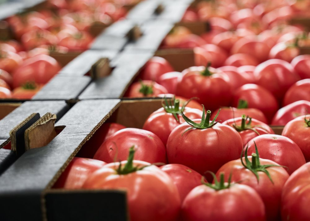 Why Specific Packaging is so Important for Produce - VEGWORLD Magazine
