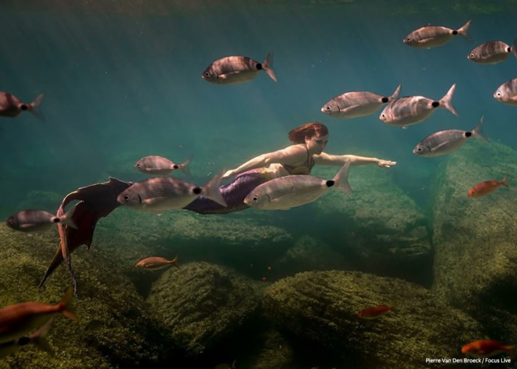Mermaids Make a Splash Advocating Respect for Fish & Clean Oceans ...
